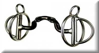 The Mark Rashid Clinic – AHAmoments